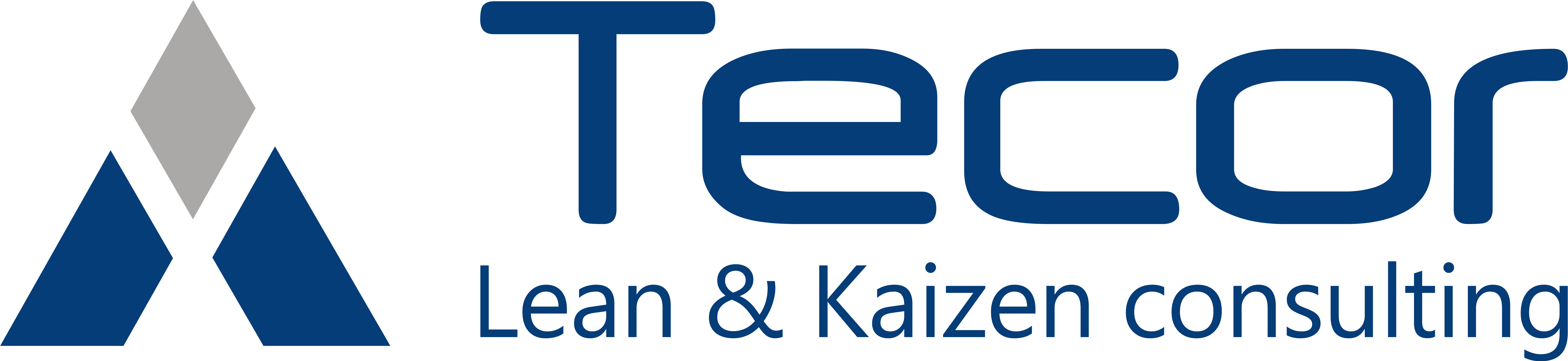 Tecor Consulting | Lean konsalting i edukacija